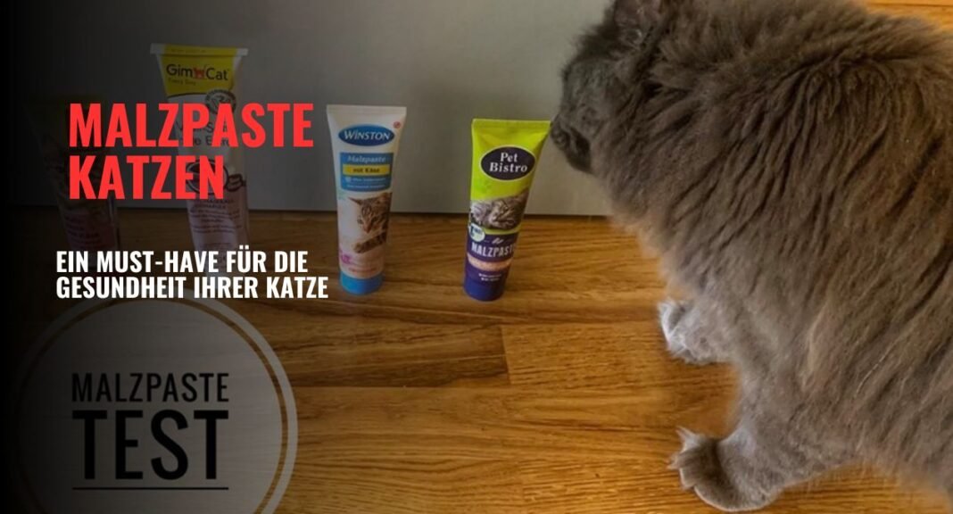 Malzpaste Katzen: Ein Must-Have Für Die Gesundheit Ihrer Katze