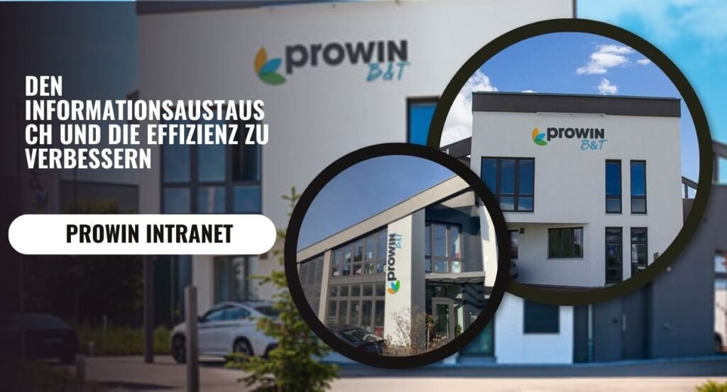 Alles, Was Sie über Das Prowin Intranet Wissen Müssen